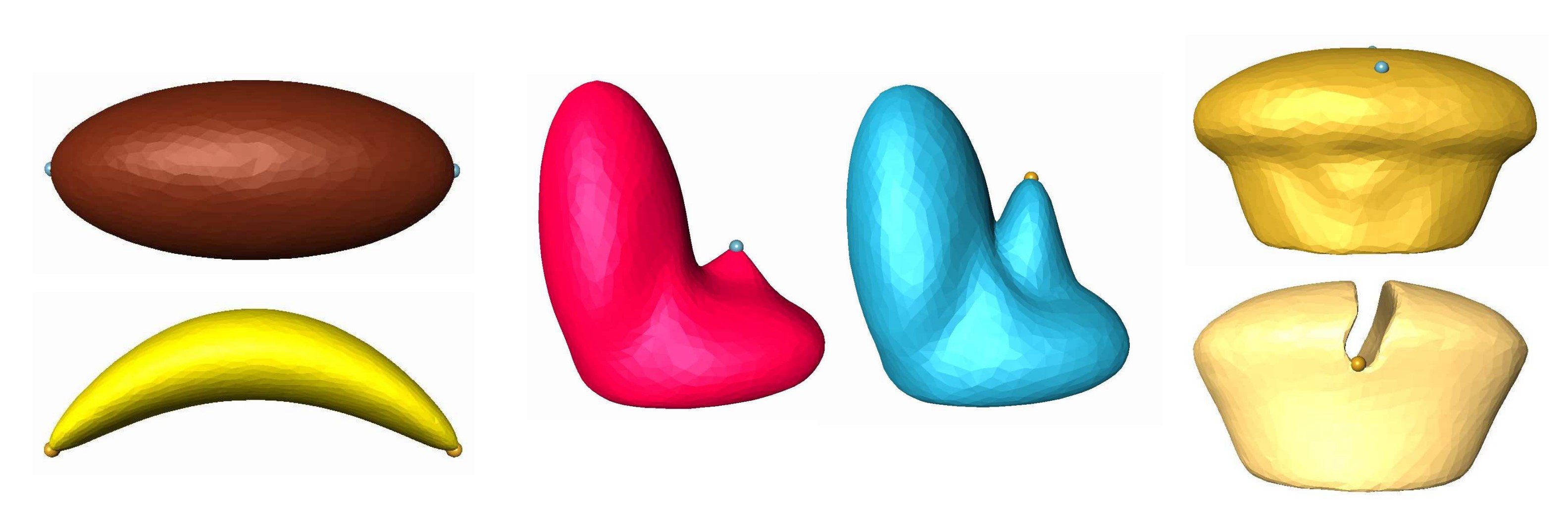 Capturing Anatomical Shape Variability Using B Spline Registration