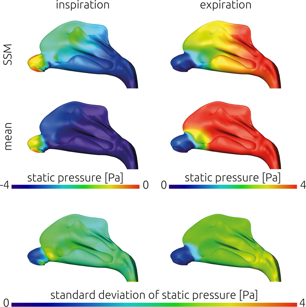 Characterization of the Airflow within an Average Geometry of the ...
