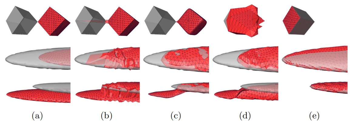 Improving Deformable Surface Meshes Through Omni Directional ...