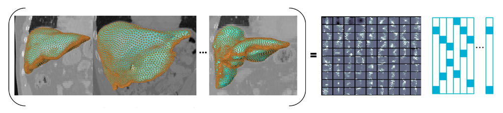 Robust and Accurate Appearance Models Based on Joint Dictionary ...