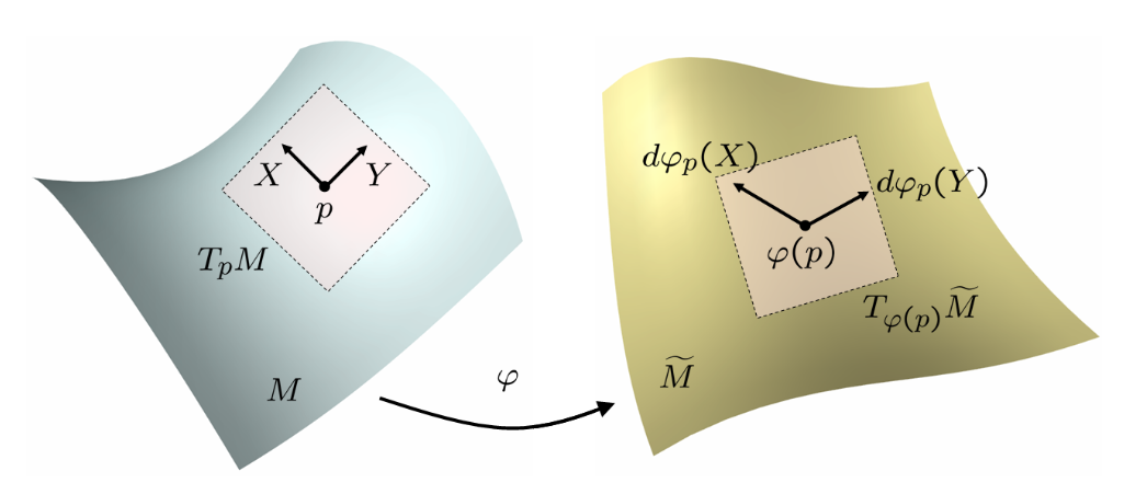 Variational And Statistical Shape Modeling For 3d Geometry Reconstruction Hans Lamecker